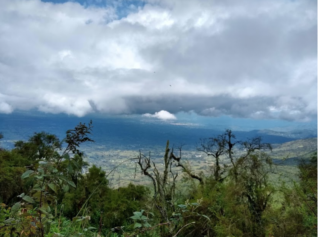 AK-47s in the Mist: Poaching in the Virunga Massif – The Yale Globalist